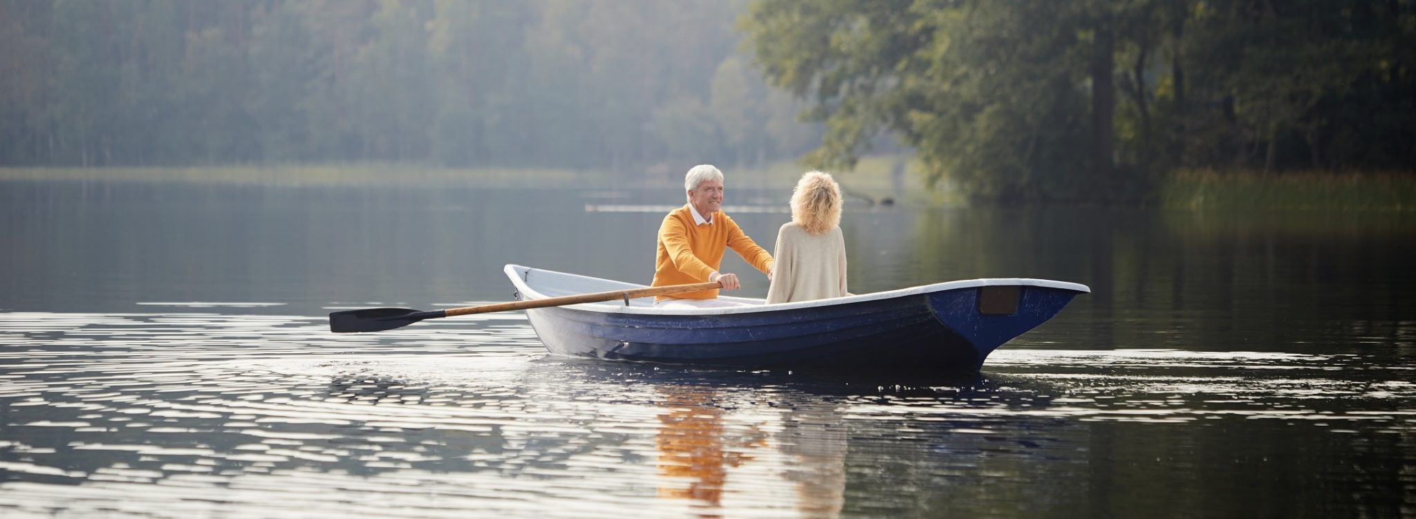 Harbourview Fixed Indexed Annuity - Oceanview Life & Annuity