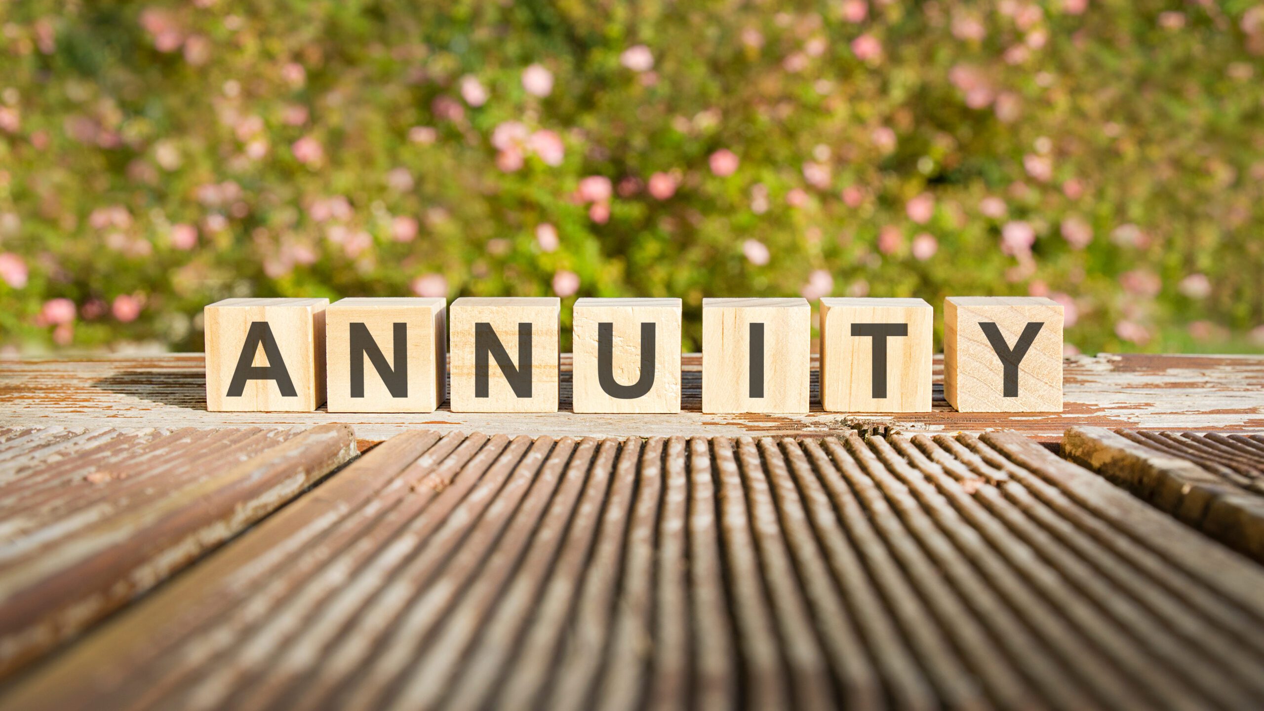 Exploring the World of Annuities - Oceanview®️